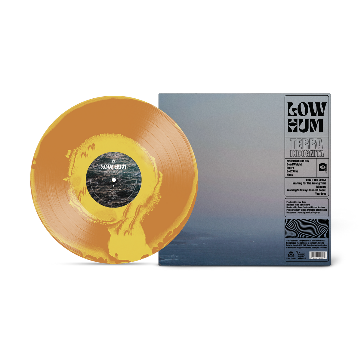 Low Hum Official Label Store | Terra Incognita Vinyl LP – Last Gang Records