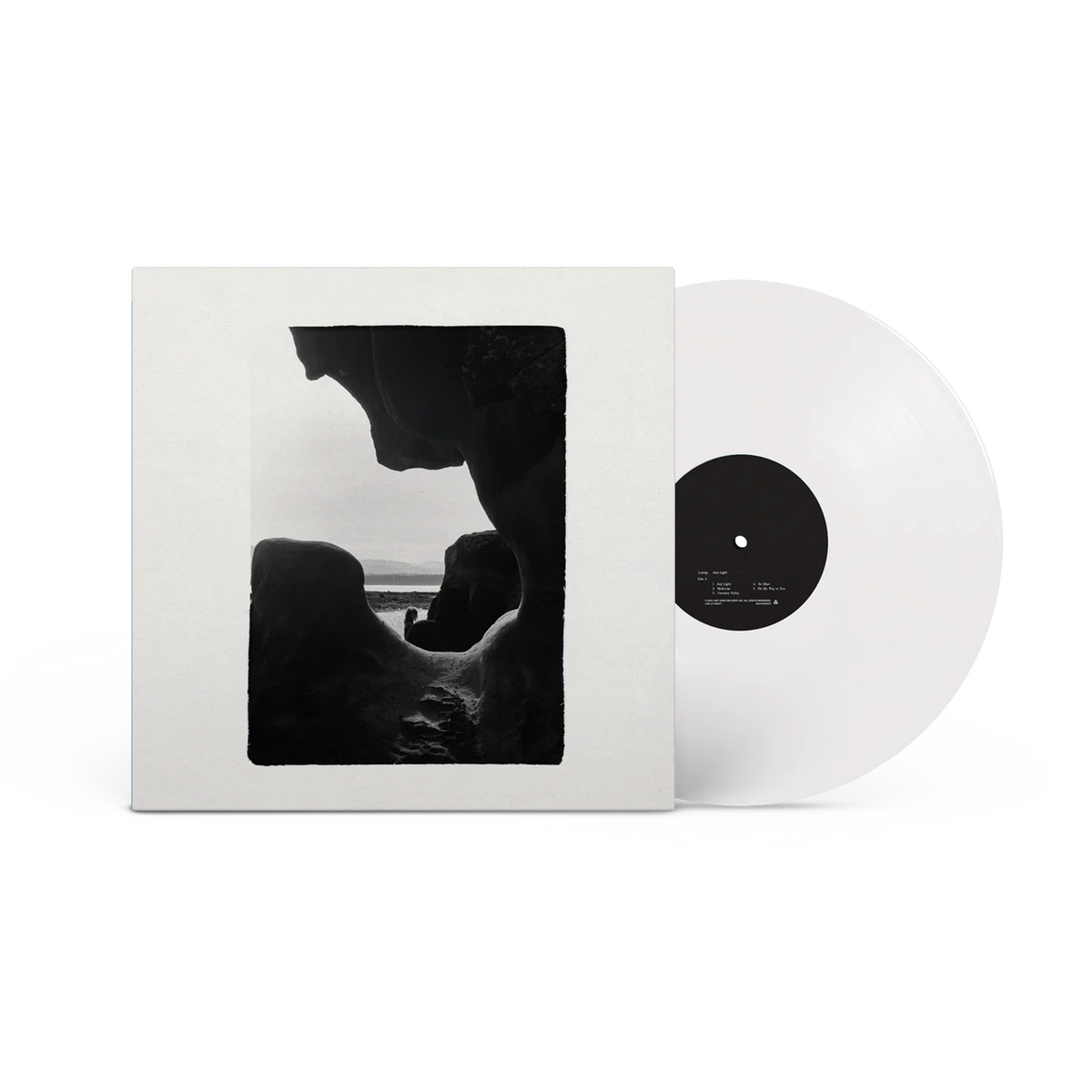 LOVING Official Label Store | ANY LIGHT Vinyl LP – Last Gang Records