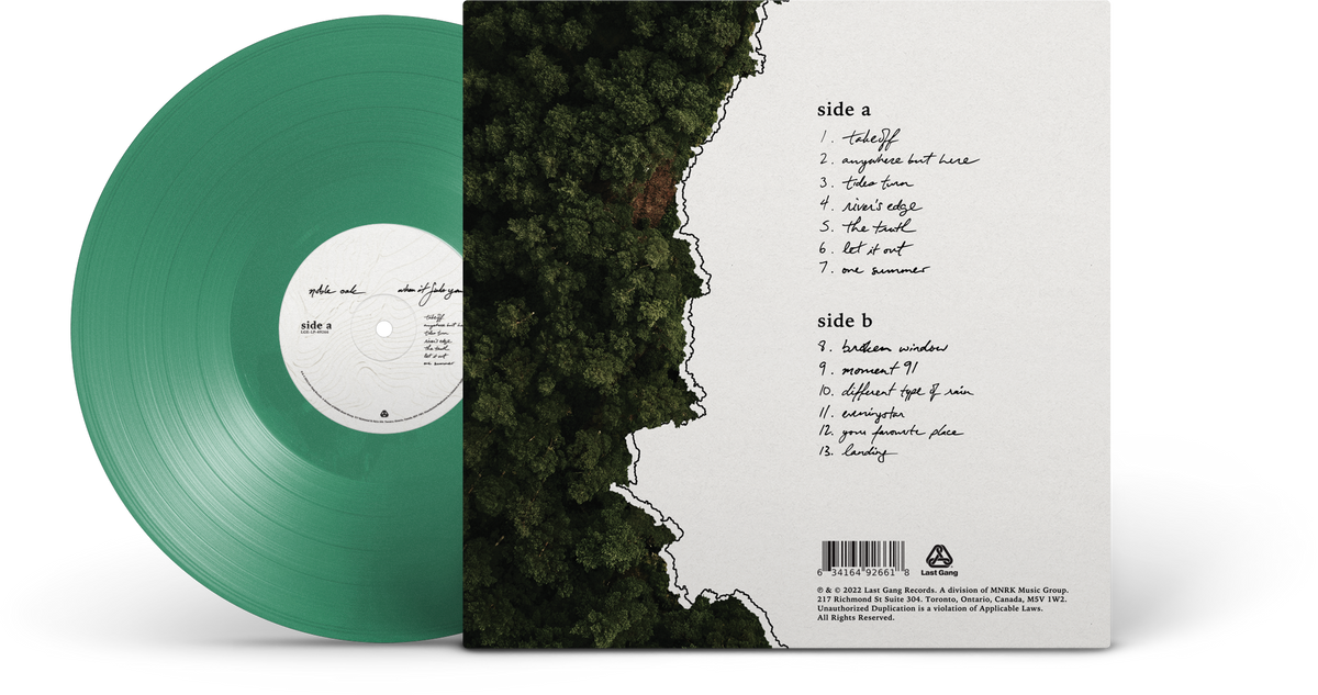 Noble Oak Official Label Store | When It Finds You Vinyl LP – Last Gang ...